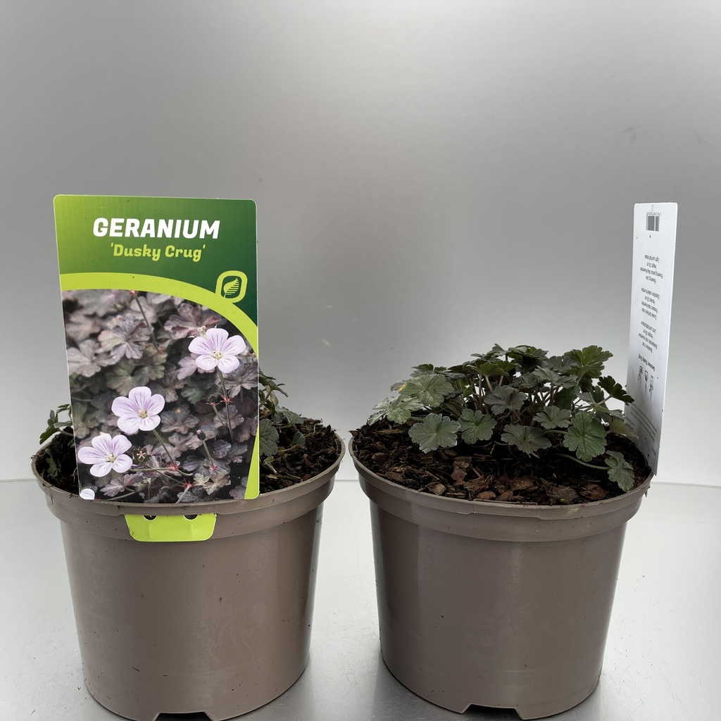 Verkooppunt | Plantor